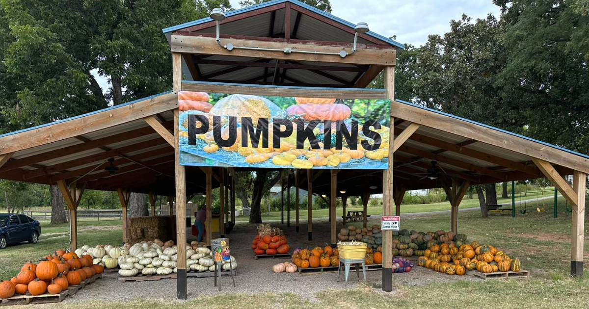 Fall Fun: The Orr Family Farm and 6 More Pumpkin Patches in Oklahoma