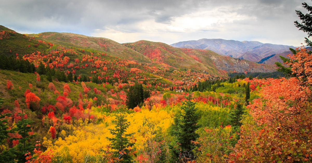 The 15 Best Things To Do In Utah In The Fall