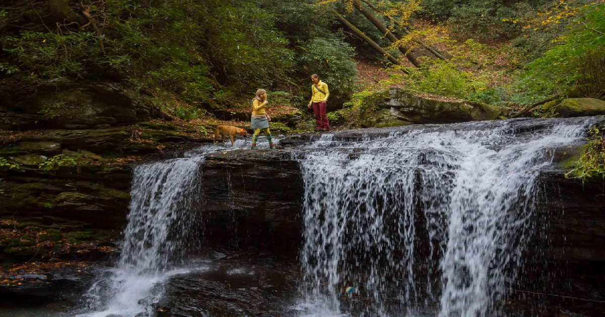 The Trail To Finn’s Falls Is One Of The Best Little-Known Waterfall ...