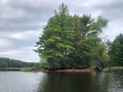 Willow Flowage A Wisconsin Paddling Destination