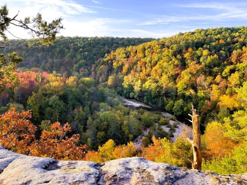Explore King's River Overlook Trail for Stunning Fall Foliage