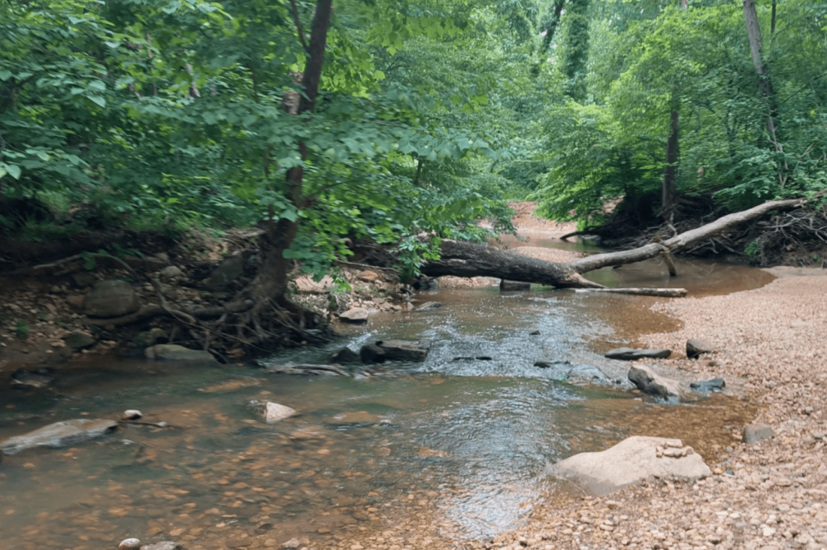 Discover Alum Spring Park in Fredericksburg, Virginia