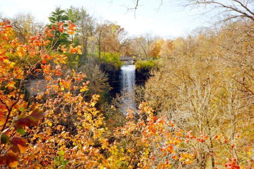 Top Fall Activities in Minnesota: Foliage, Pumpkin Patches & Festivals