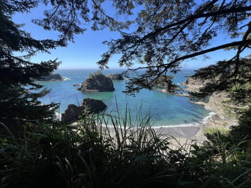 Discover the Hidden Gem of Secret Beach Trail in Oregon