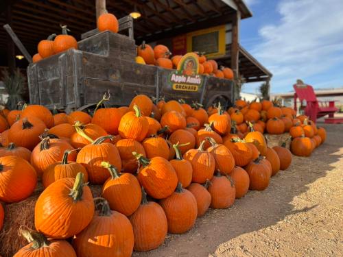 The 12 Best Things To Do In Arizona In This Fall