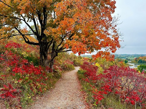 Top Fall Activities in Minnesota: Foliage, Pumpkin Patches & Festivals