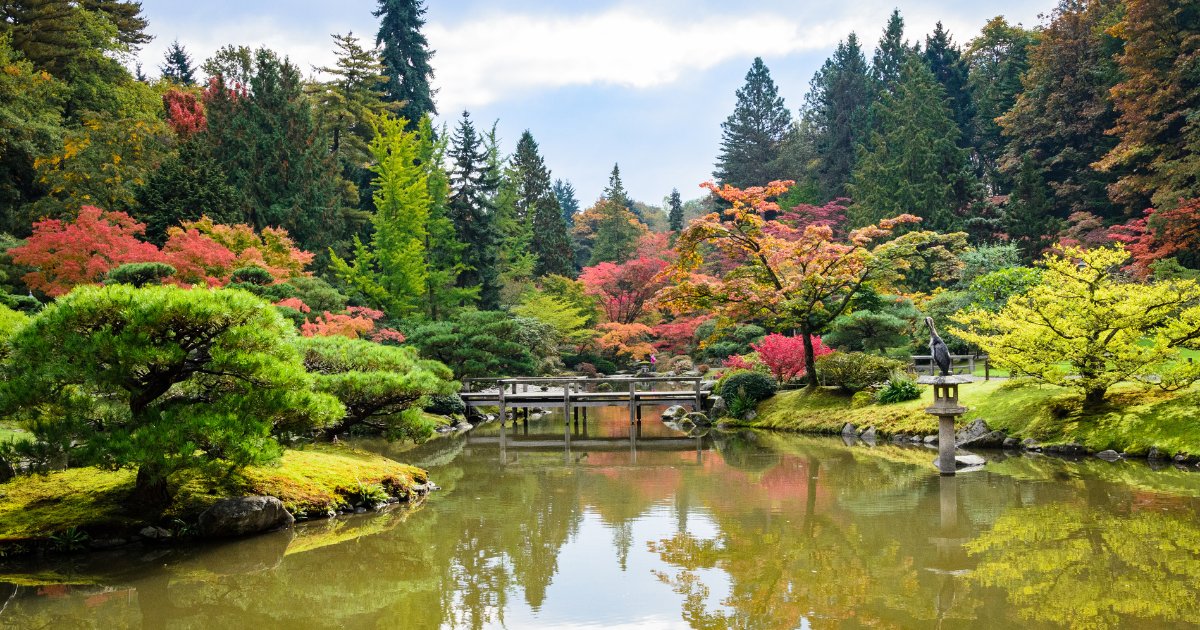 Best Times and Places To View Washington’s Fall Foliage in 2025