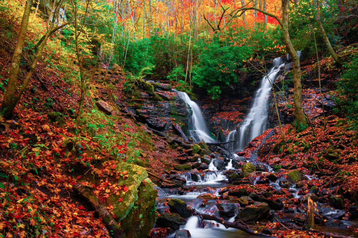 Ultimate Guide to Fall Activities in South Carolina