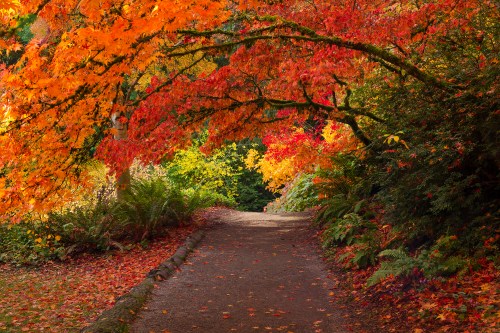 Discover Washington's Best Fall Foliage and Autumn Activities
