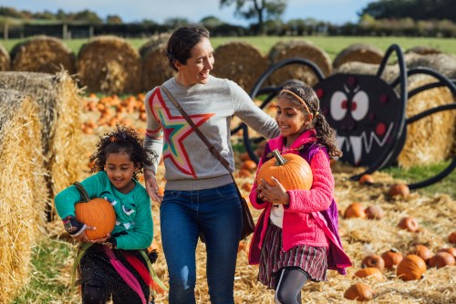 Ultimate Guide to Fall Activities in South Carolina