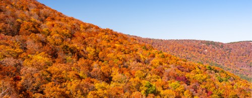Best Times to See Fall Foliage in Oklahoma 2024