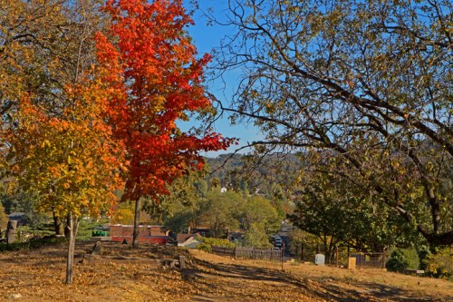 Experience Fall in Julian, CA: Pumpkin Picking & Cozy Stays
