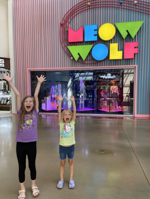 Explore the Unique Meow Wolf Art Exhibit in Grapevine, Texas