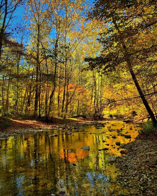 Explore Fall Colors at Versailles State Park, Indiana