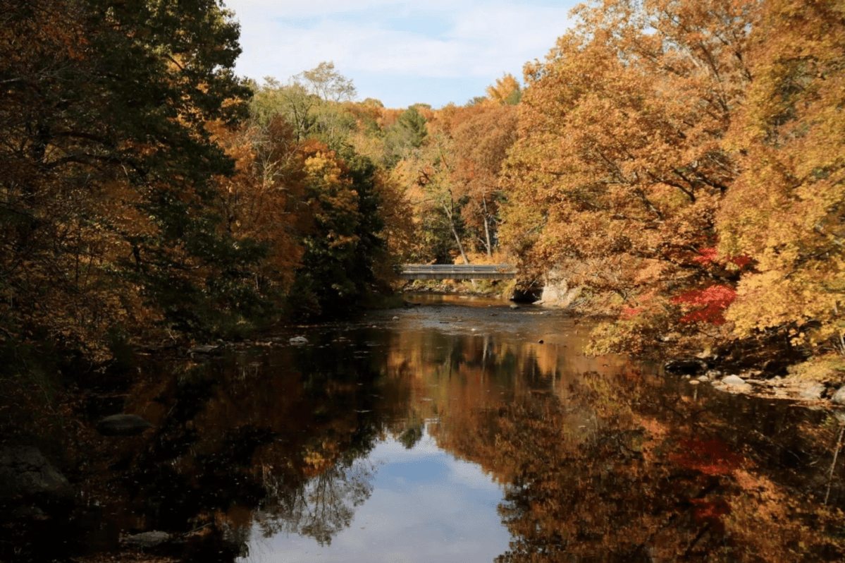 Explore Fall Foliage at Hidden Valley Preserve in Connecticut