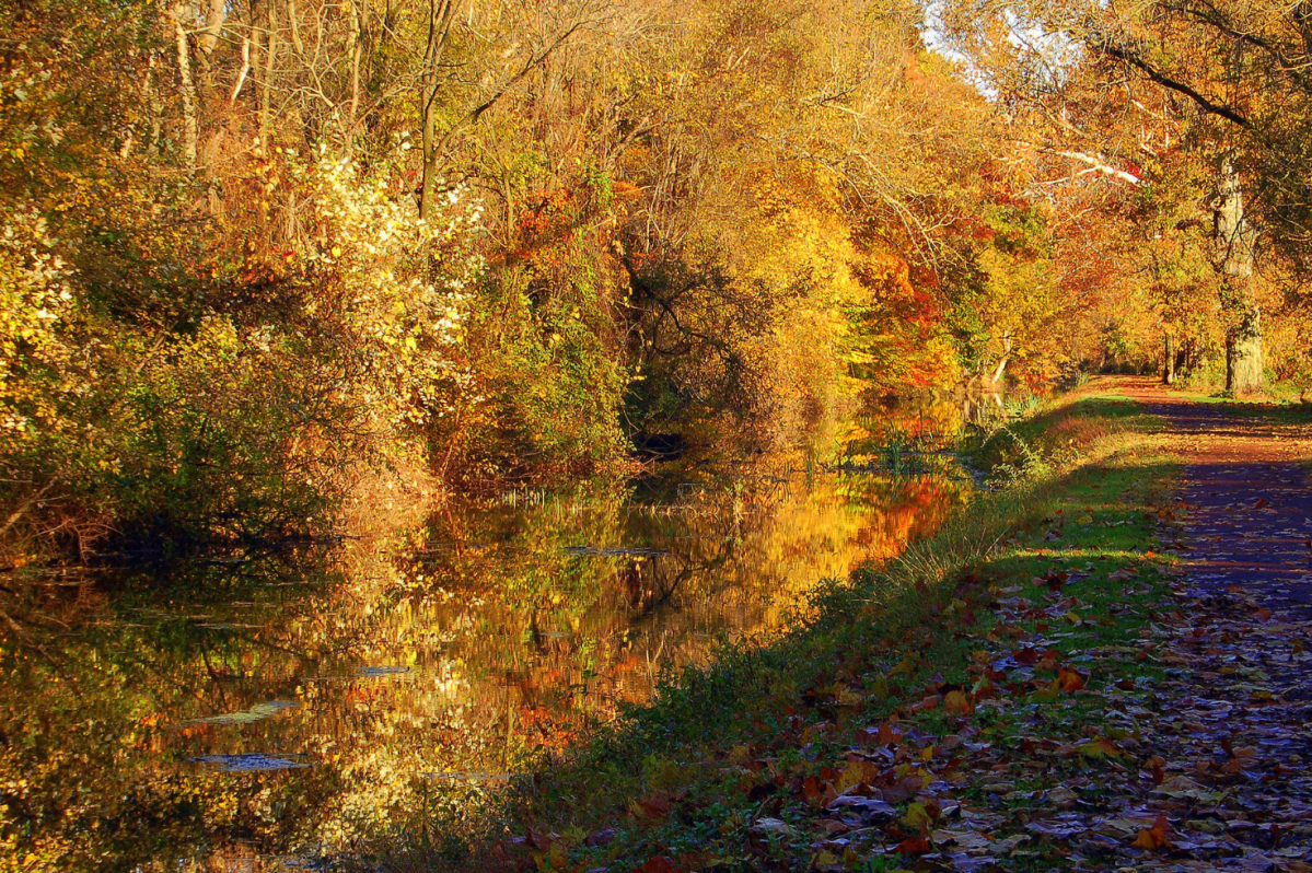 Top Fall Activities in New Jersey: Foliage, Festivals, and Pumpkin Patches