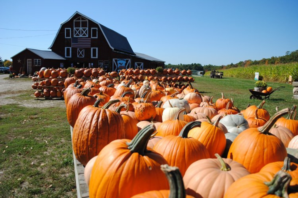 Discover Fall Fun at Cucumber Hill Farm in Rhode Island
