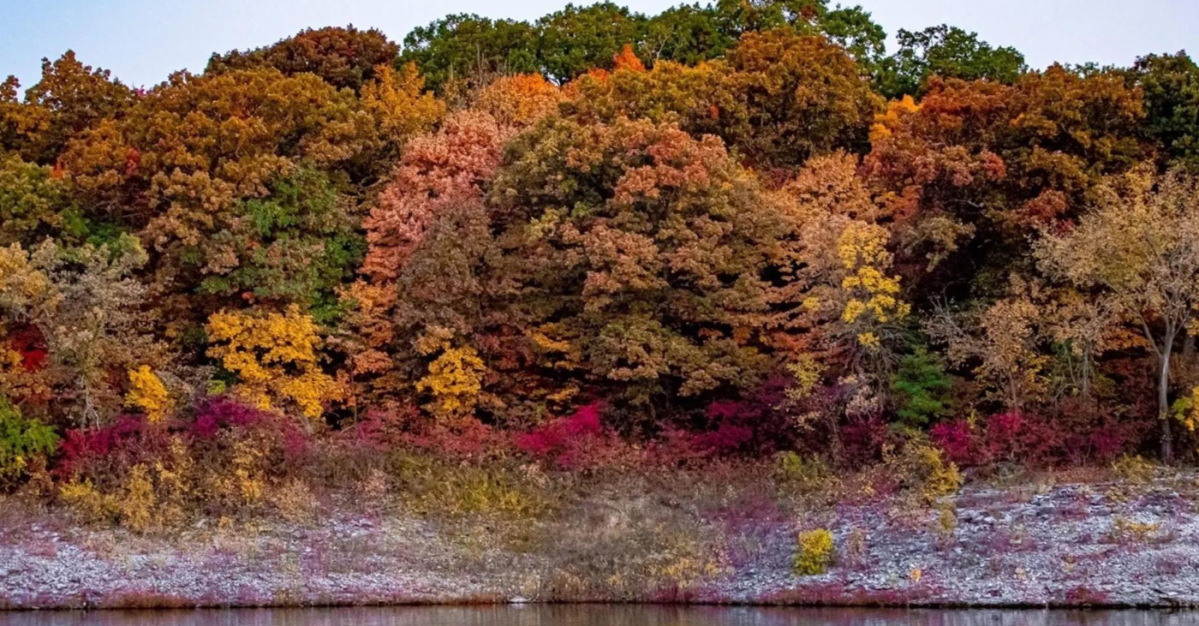 Discover Squire Point: Iowa's Hidden Gem for Fall Foliage Hikes