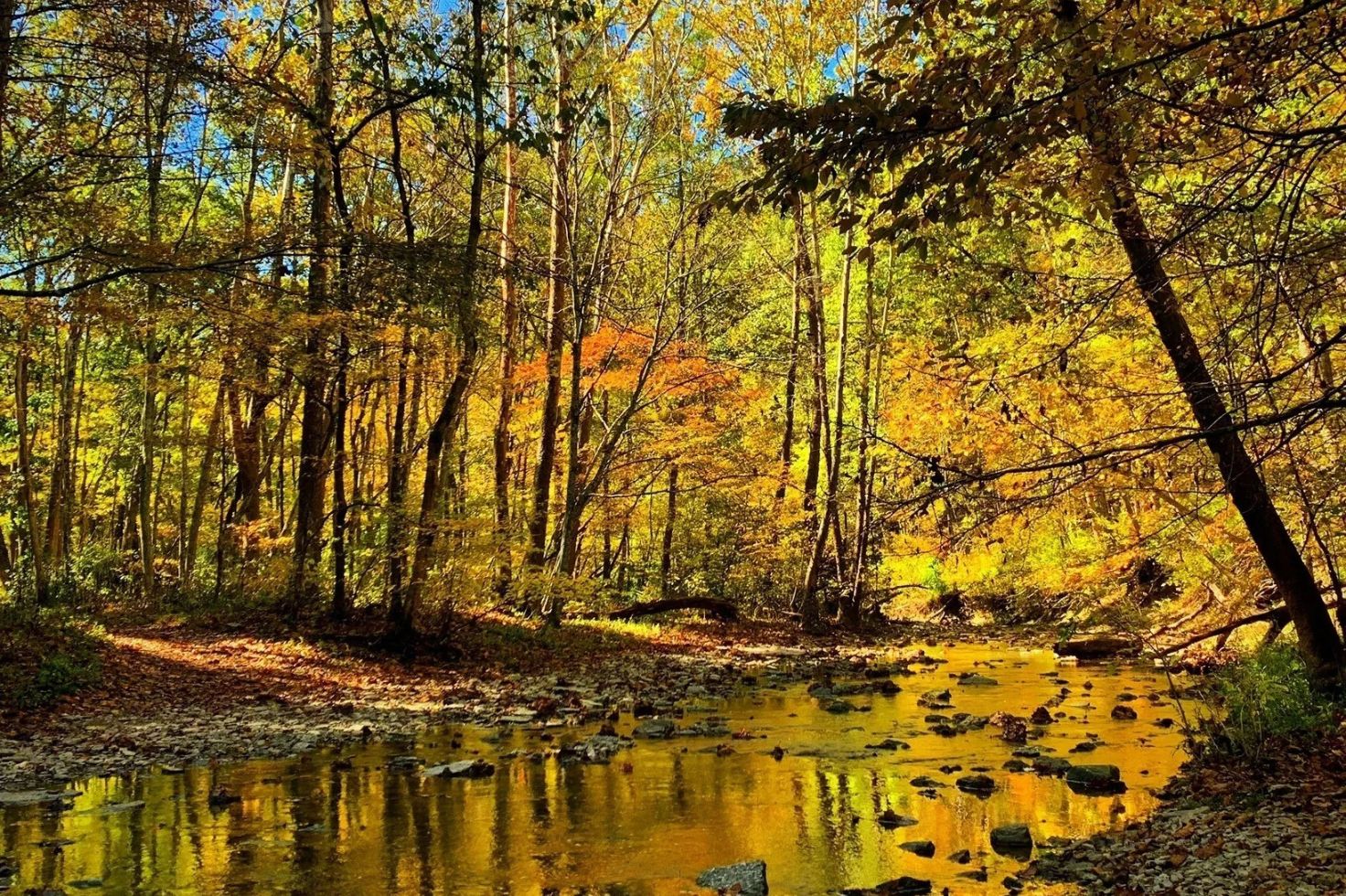 The 5-Mile Hiking Trail in Indiana That is a Fall Foliage Wonderland