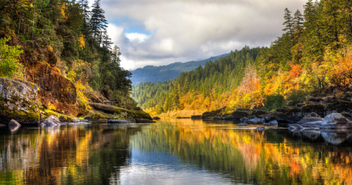 Best Times and Places To See Fall Foliage in Oregon in 2025