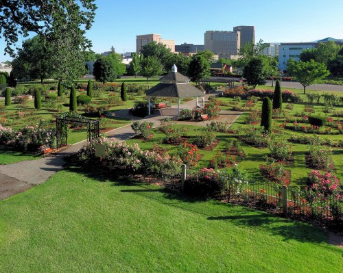 Explore the Beautiful Boise Rose Garden in Julia Davis Park