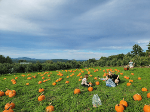 Ultimate Guide to Fall Attractions and Activities in Maine