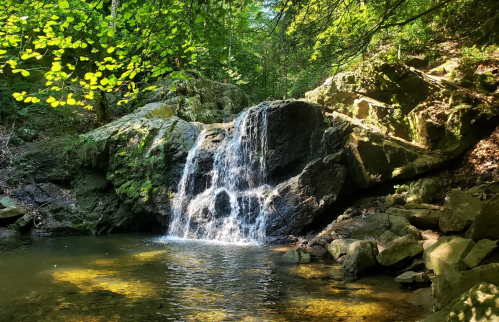 Explore Cascade Falls in Patapsco Valley State Park, Maryland