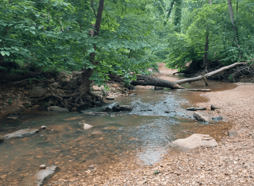 Discover Alum Spring Park in Fredericksburg, Virginia