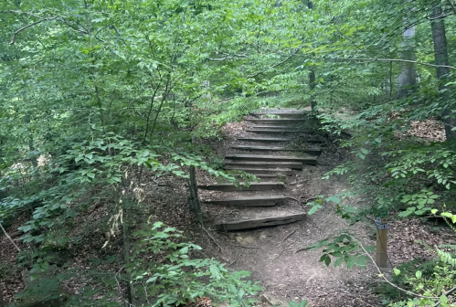 Discover Alum Spring Park in Fredericksburg, Virginia