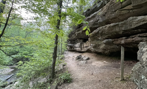 Discover Alum Spring Park in Fredericksburg, Virginia