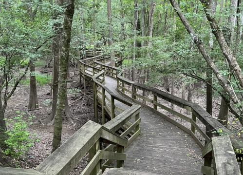 Explore Lynches River County Park: Trails, Canopy Walk & More