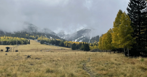 Best Times and Places to See Fall Foliage in Arizona