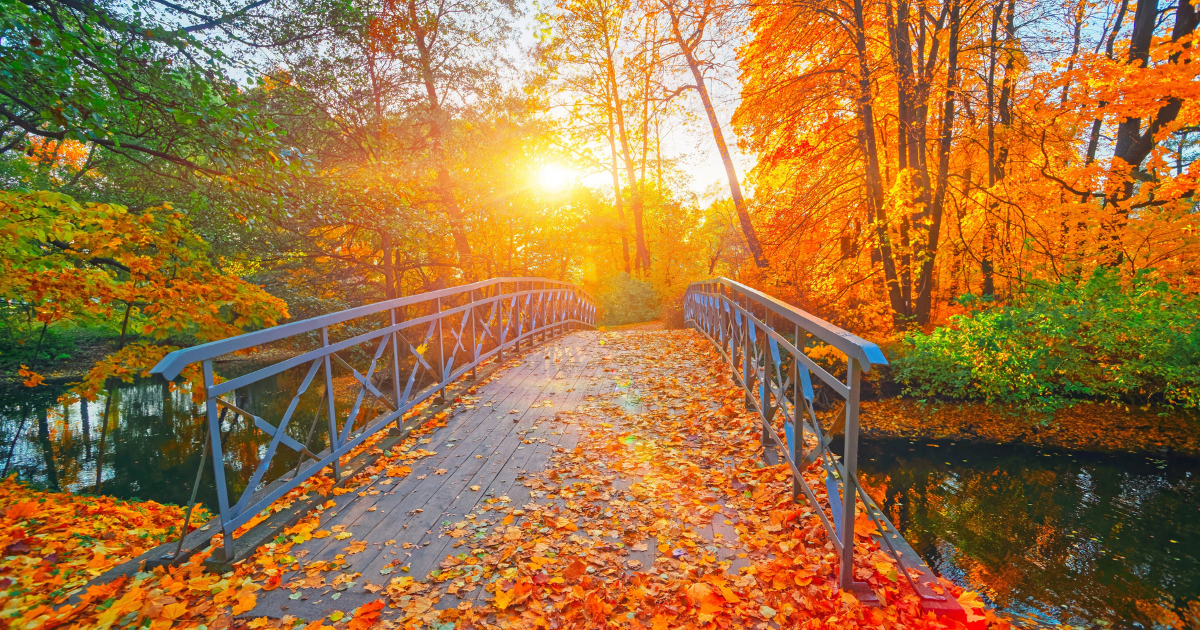 Best Places to View Fall Foliage in South Carolina