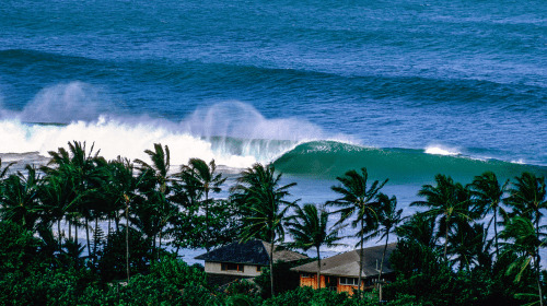 Fall in Hawaii: 15 Things To See and Do