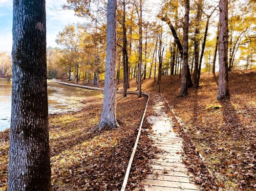 Top Fall Activities in Mississippi: Scenic Drives, Pumpkin Patches ...
