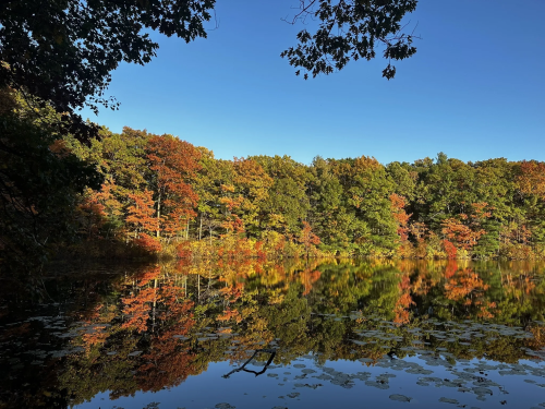 Explore Moore State Park: A Fall Gem in Massachusetts