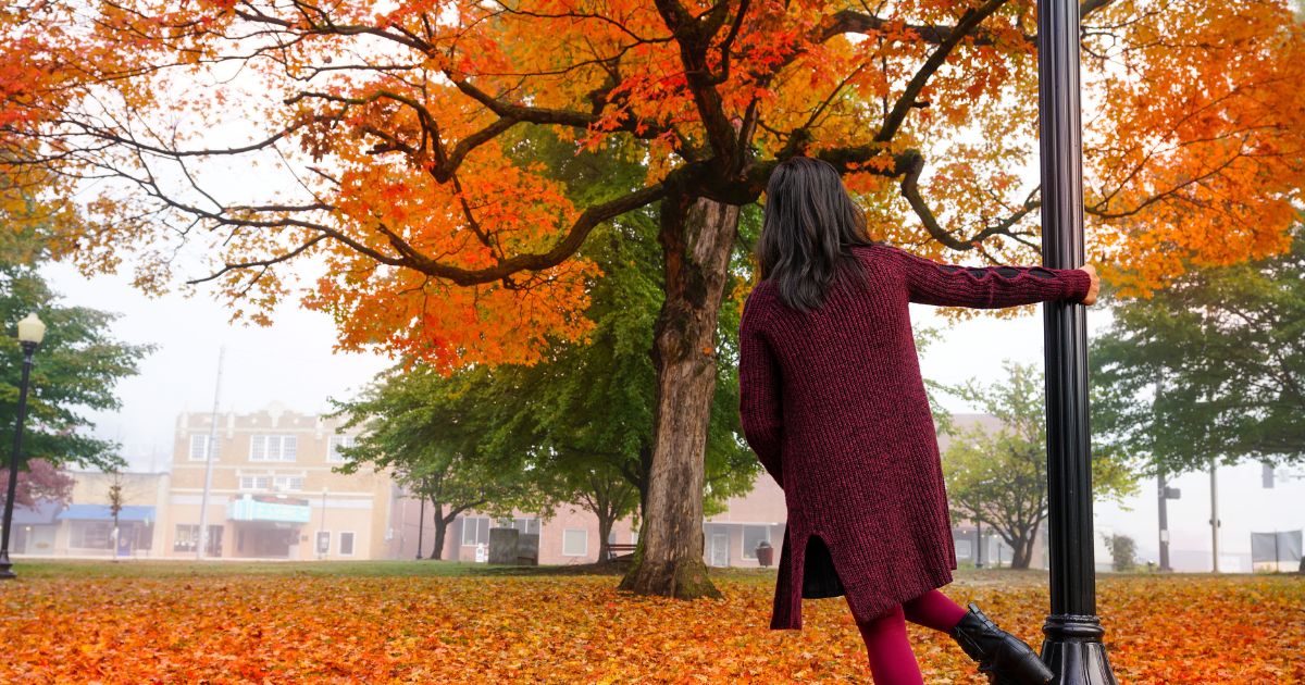 Best Places to See Fall Foliage in Arkansas