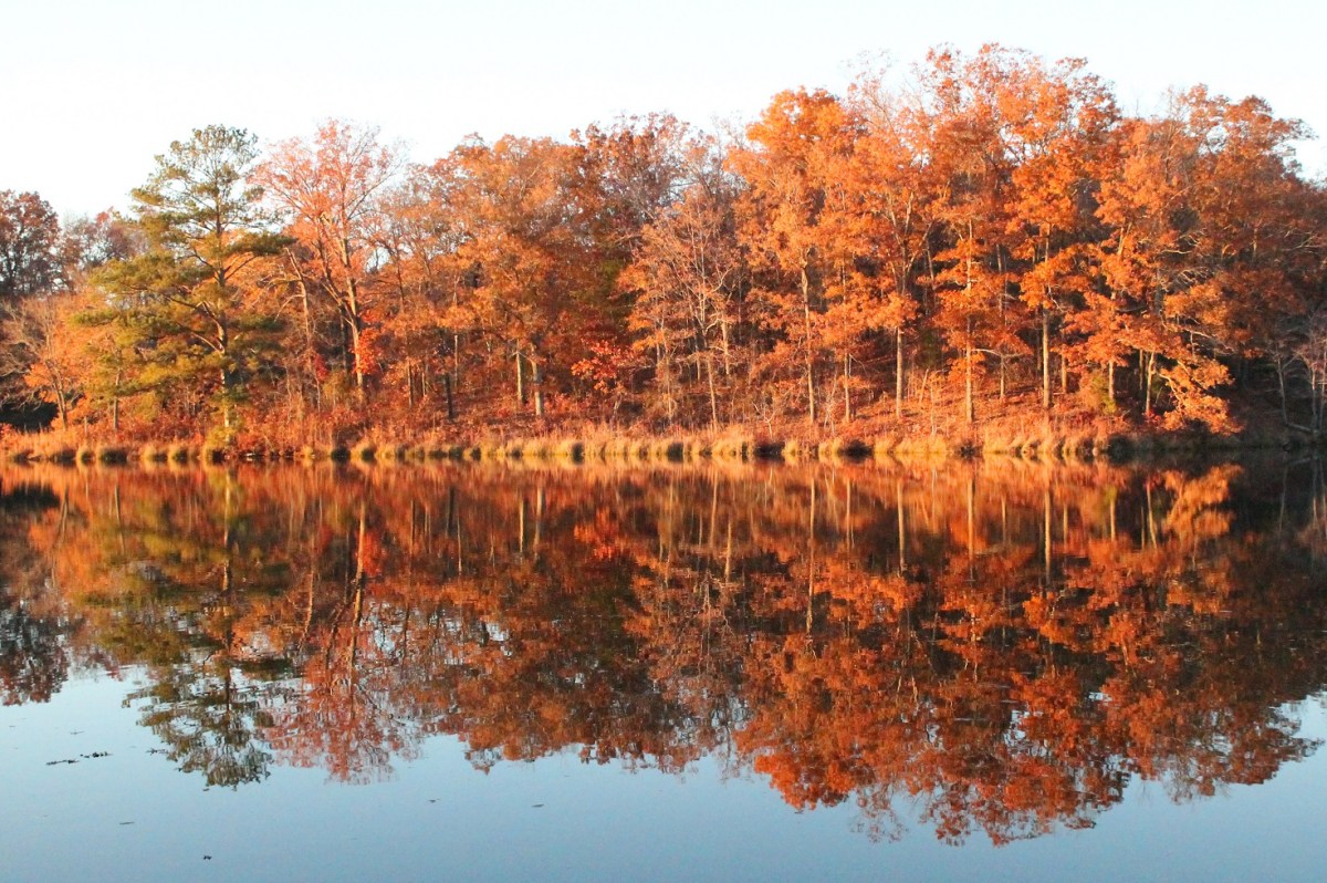 Top Fall Activities in Mississippi: Scenic Drives, Pumpkin Patches ...
