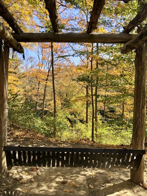 Discover Harrods Creek Trail's Fall Foliage in Kentucky