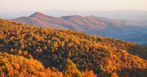 Virginia Fall Colors Guide 2025