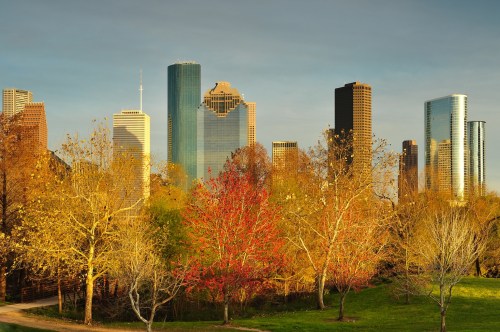 Best Times and Places to See Fall Foliage in Texas