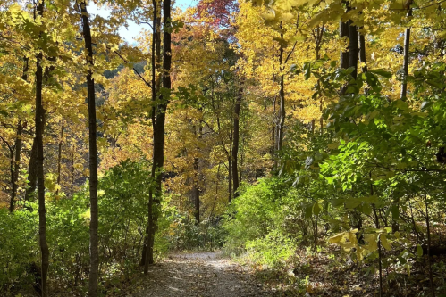 Fall Wonderland at Faust Park: Chesterfield, Missouri