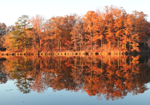 Top Fall Activities in Mississippi: Scenic Drives, Pumpkin Patches ...