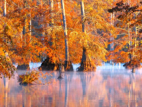 Top Fall Activities in Mississippi: Scenic Drives, Pumpkin Patches ...