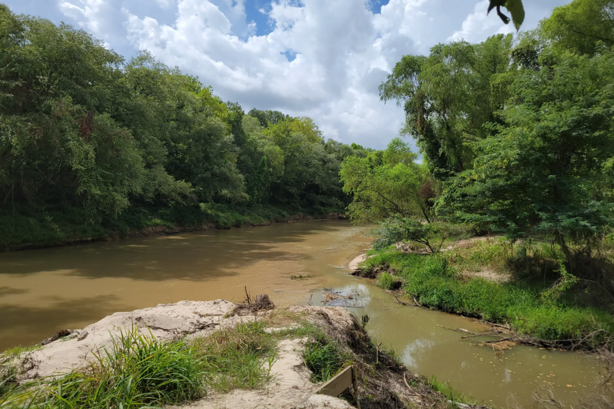 Explore the Scenic Comite Park Loop Trail in Louisiana