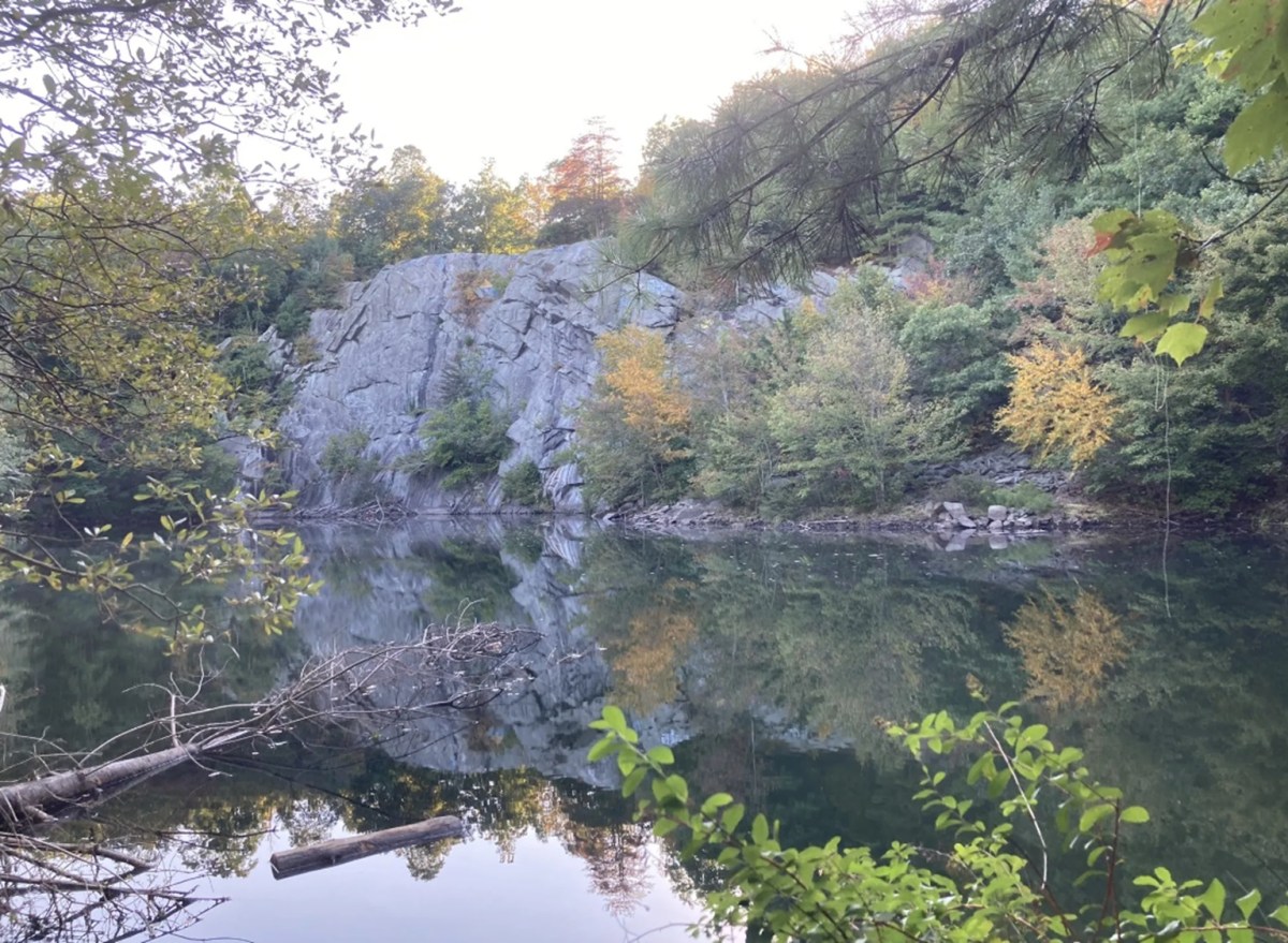 Discover the Bioreserve Loop Trail in Massachusetts