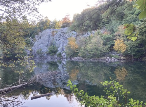 Discover the Bioreserve Loop Trail in Massachusetts