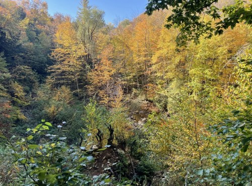 Discover Vermont's Lye Brook Falls Trail in Autumn