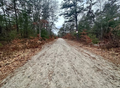 Discover the Bioreserve Loop Trail in Massachusetts