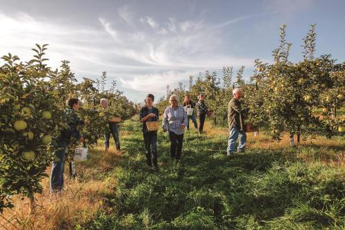 Experience Oregon's Fall Magic at Mt. View Orchards